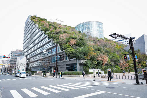 What Are Net Zero Buildings? 2025