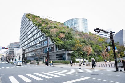 What Are Net Zero Buildings? 2025