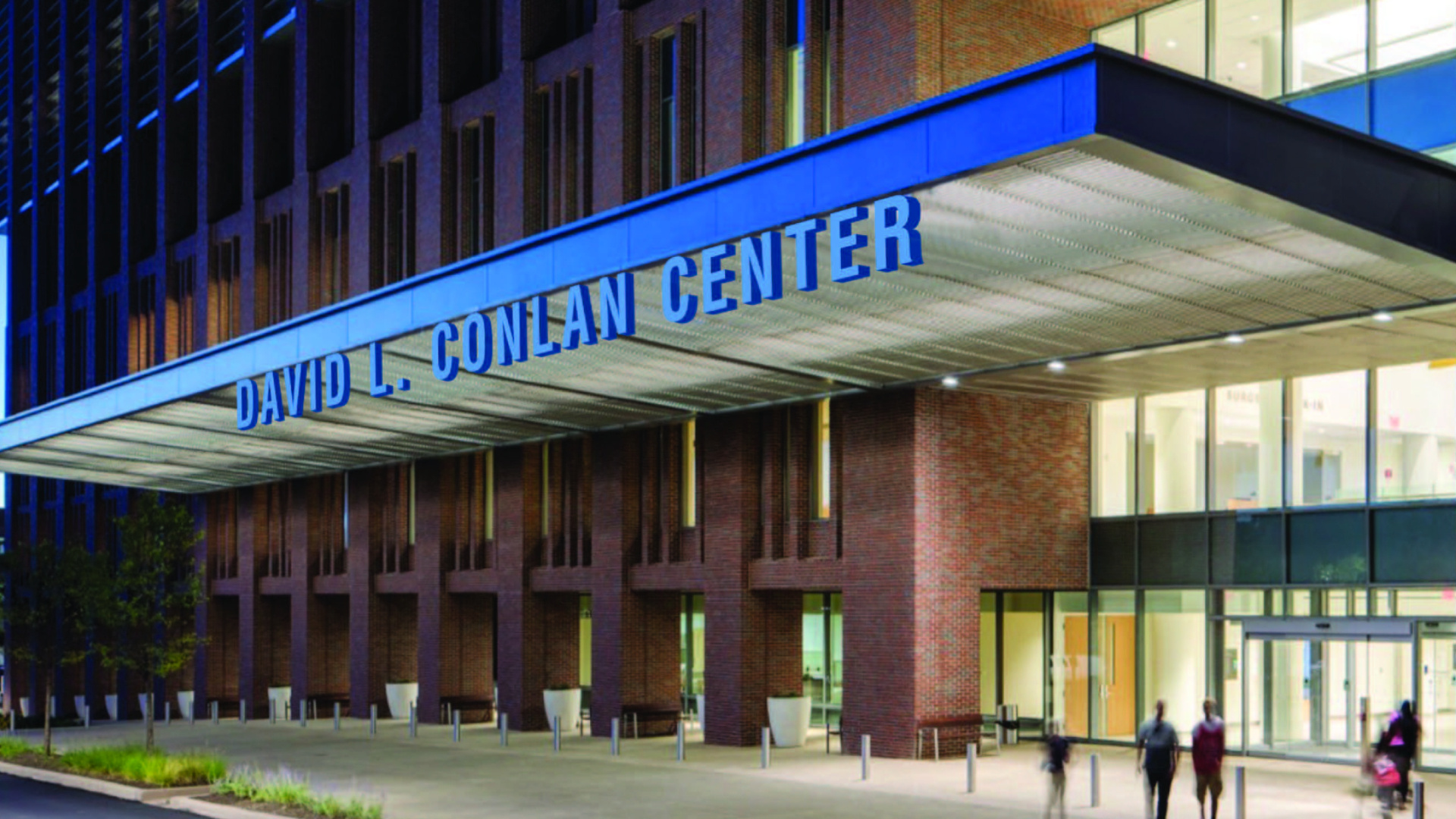 What Are the Top BIM Companies in India & USA in 2025?