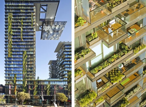 Tree-Covered Buildings: Design, Examples, Benefits & Challenges