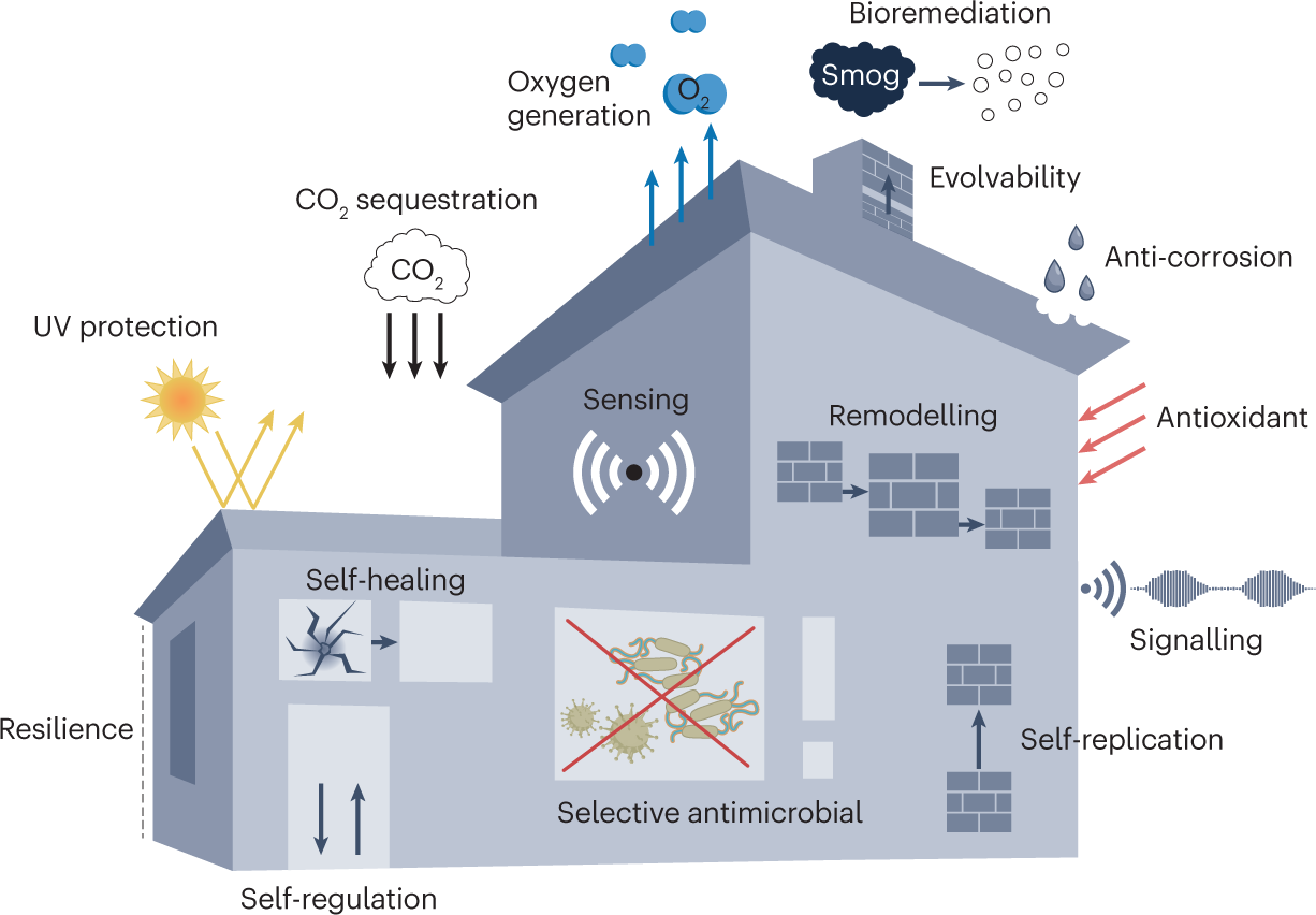 Importance for Resilient Infrastructure in Strategic Landscape