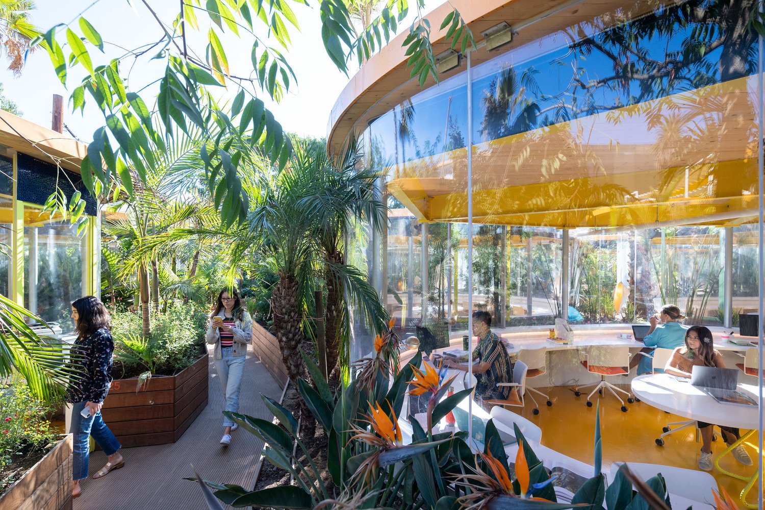 Biomimetic Design vs Biophilic Design: What is the difference?