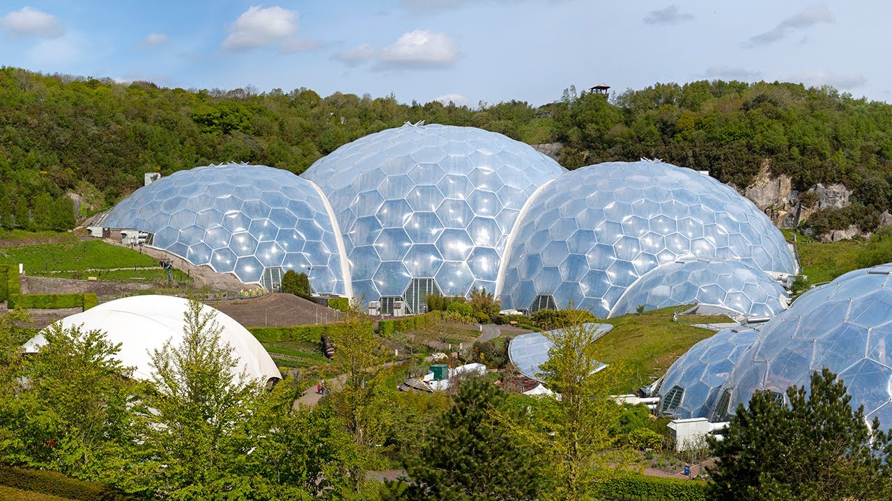 What is Biomimetic Design in Architecture & Its 12 Best Application