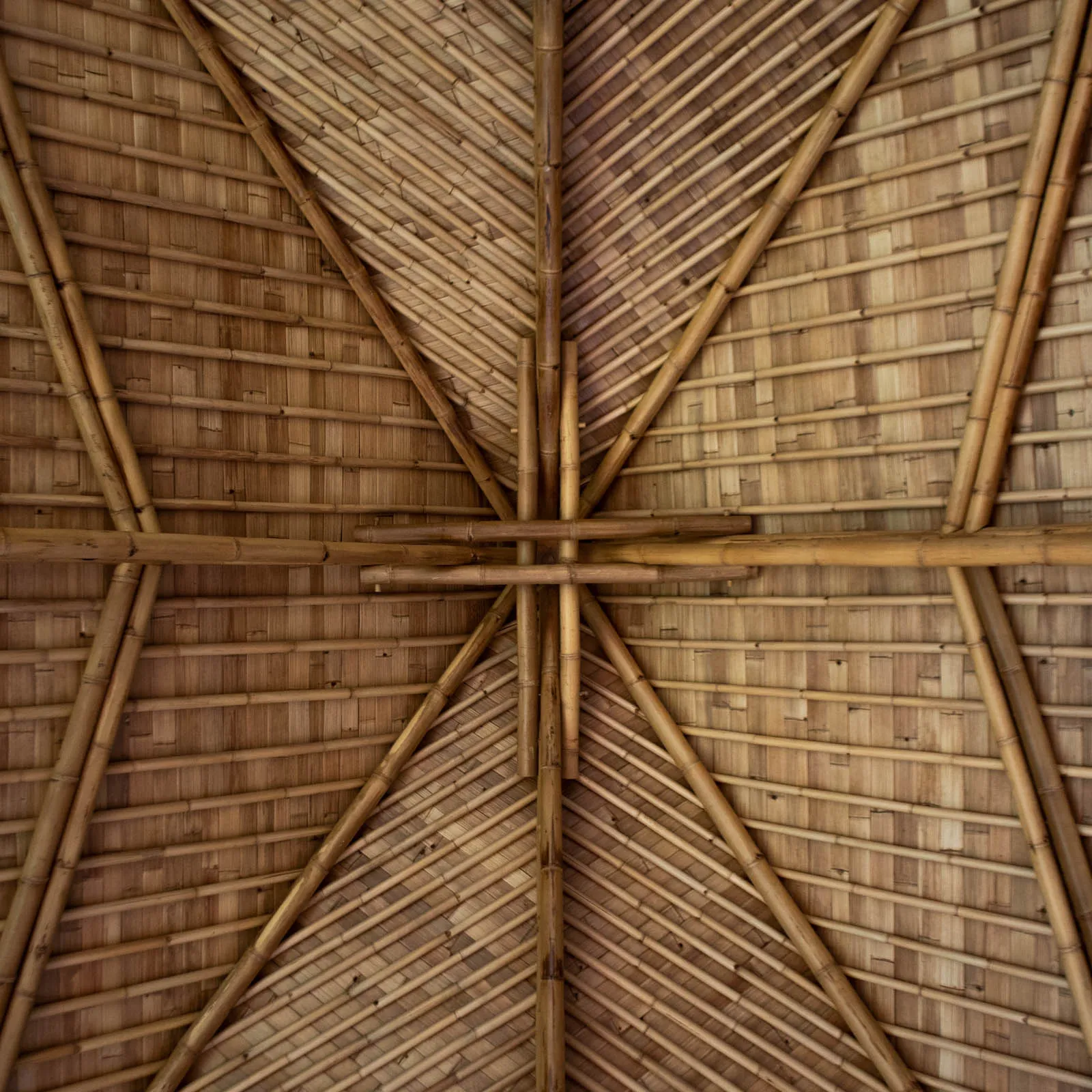 Pablo Luna Talks About Practising Sustainability And Biomimicry